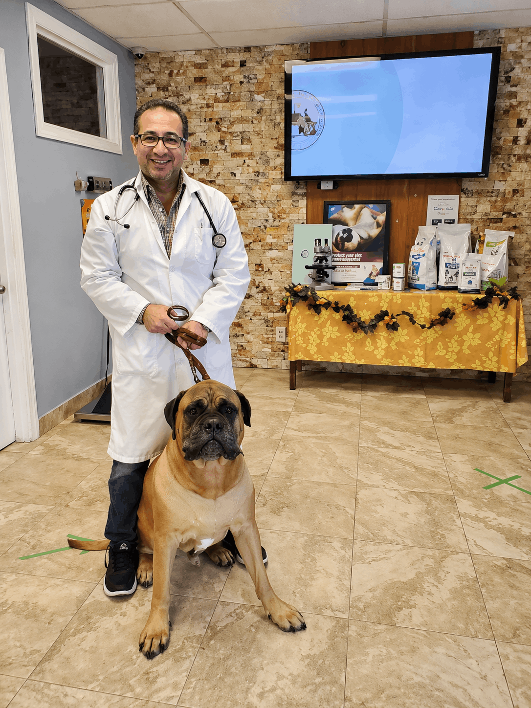 Understanding Changes in Pet Behavior: When Ottawa Pet Owners Should ...